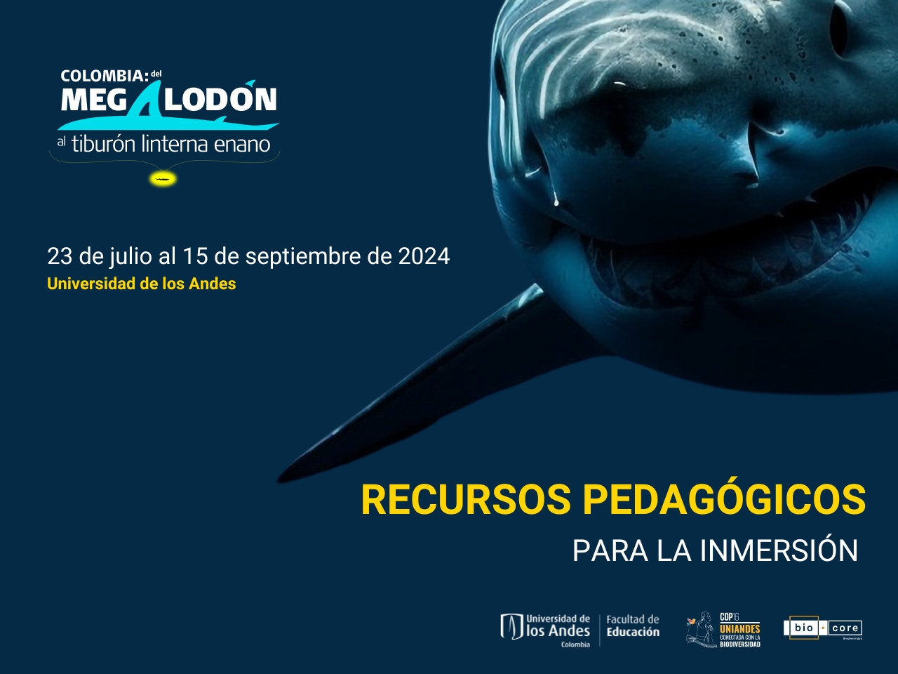 Del Megalodón al tiburón linterna enano - Recursos Pedagógicos | Uniandes